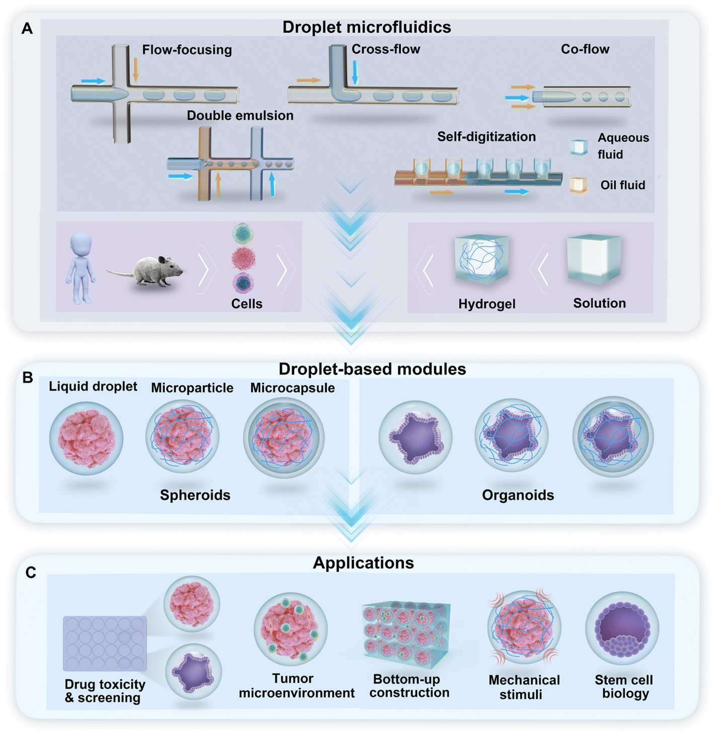 Recent methods of droplet microfluidics and their applications in spheroids and organoids - Lab ...