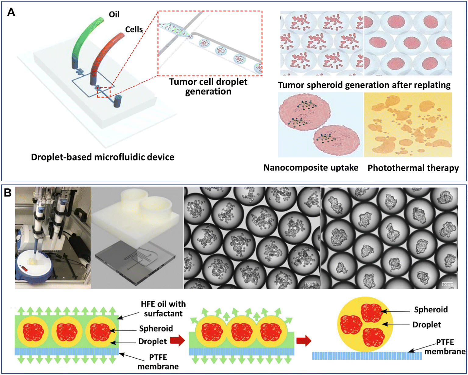 Recent methods of droplet microfluidics and their applications in spheroids and organoids - Lab ...