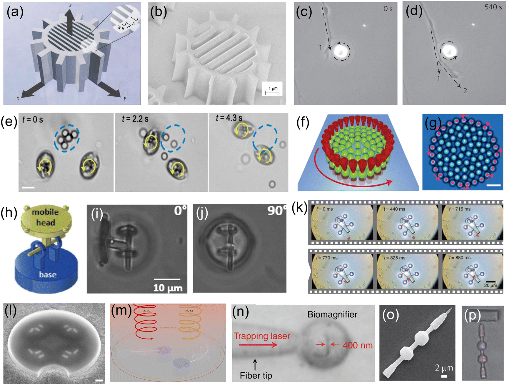 A review on microrobots driven by optical and magnetic fields - Lab on ...