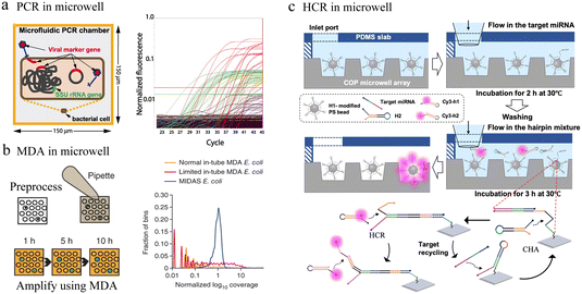 Microwell array chip-based single-cell analysis - Lab on a Chip (RSC ...