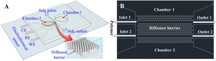 An integrated microfluidic chip for studying the effects of ...