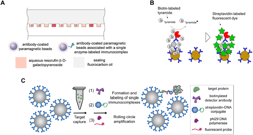 Digital detection of proteins - Lab on a Chip (RSC Publishing) DOI:10. ...