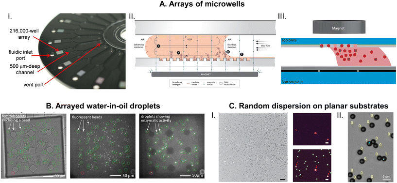 Digital detection of proteins - Lab on a Chip (RSC Publishing) DOI:10. ...