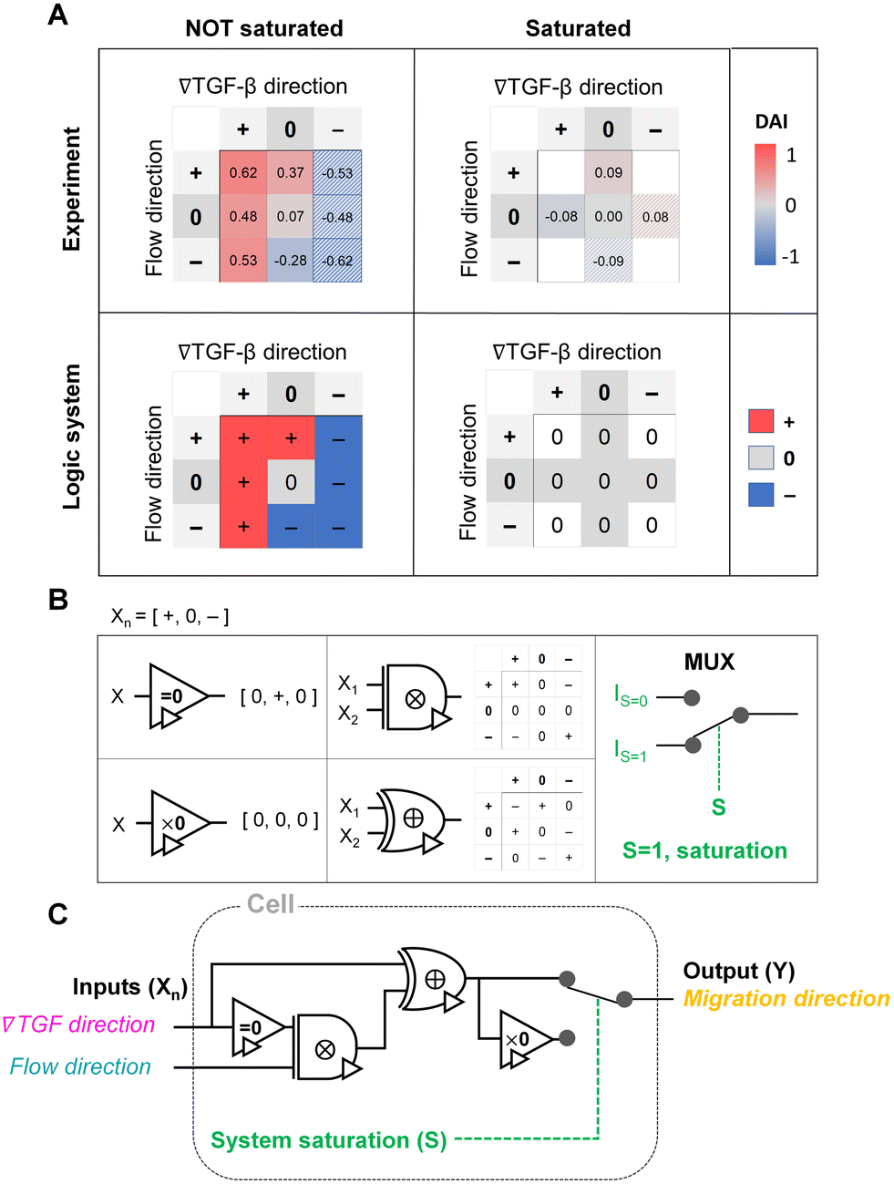 Cells function as a ternary logic gate to decide migration direction under integrated chemical ...