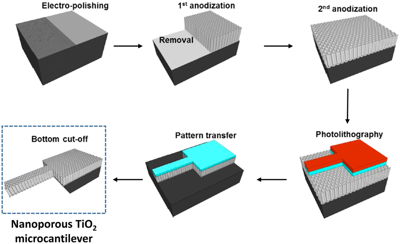 Beyond biology: alternative uses of cantilever-based technologies - Lab ...