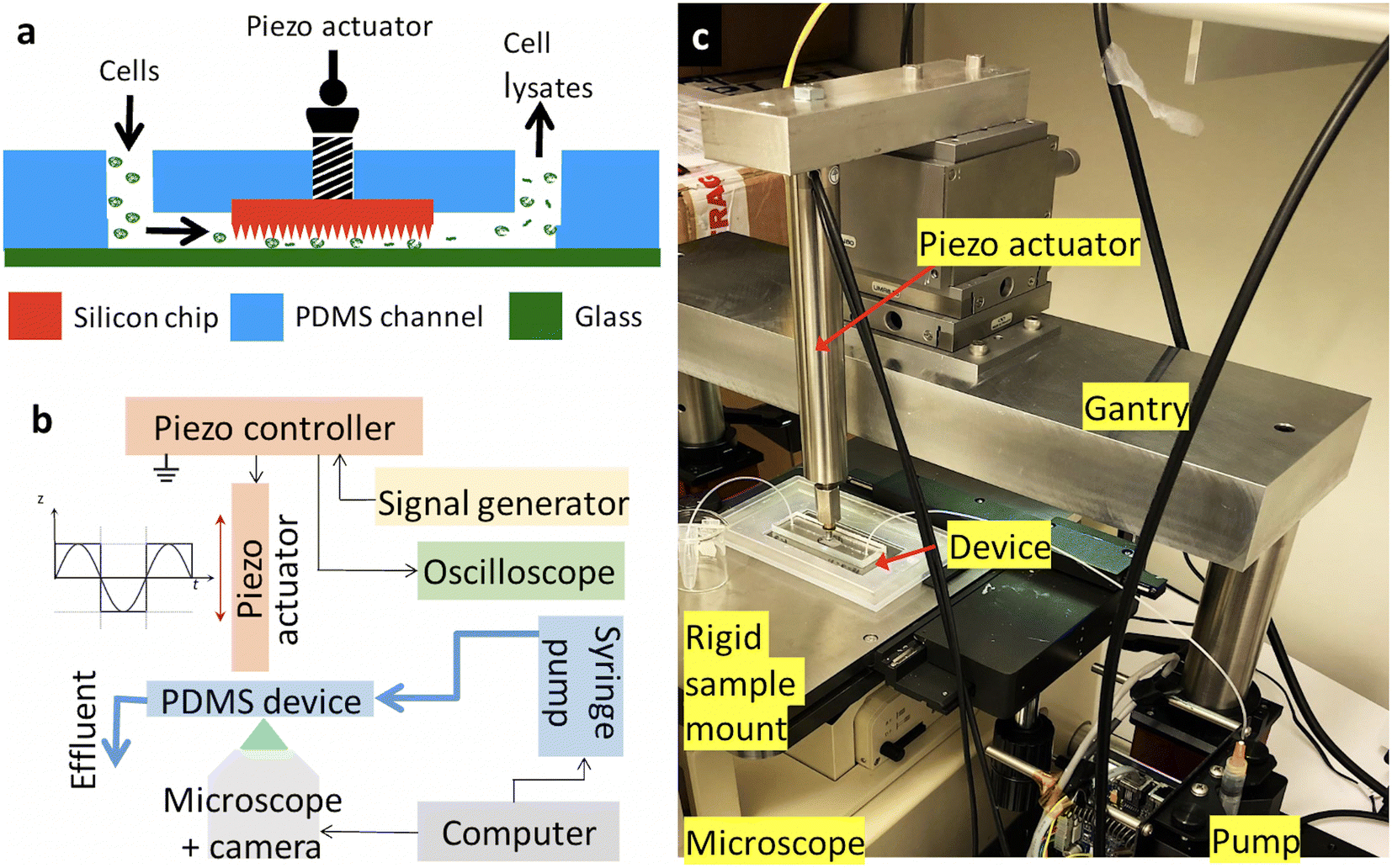 Integration Of Silicon Chip Microstructures For In Line Microbial Cell Lysis In Soft