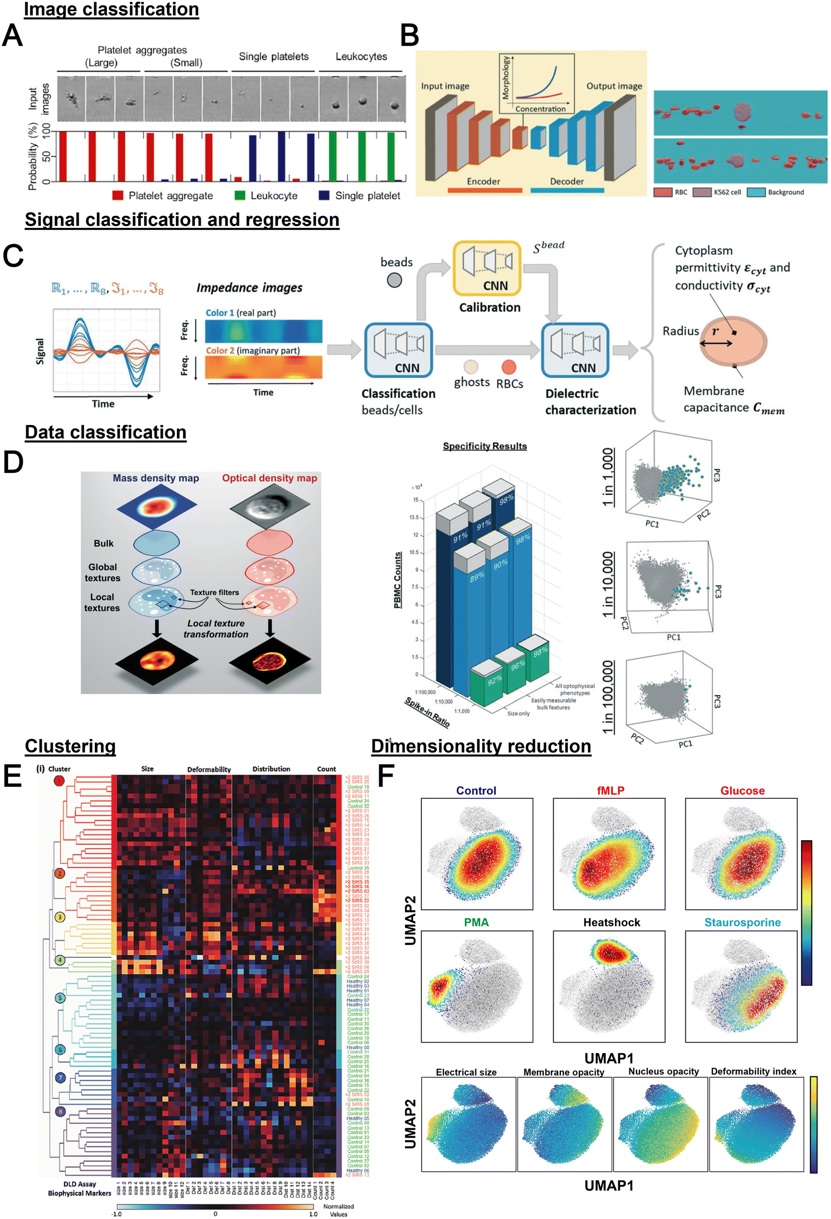 Label-free microfluidic cell sorting and detection for rapid blood ...