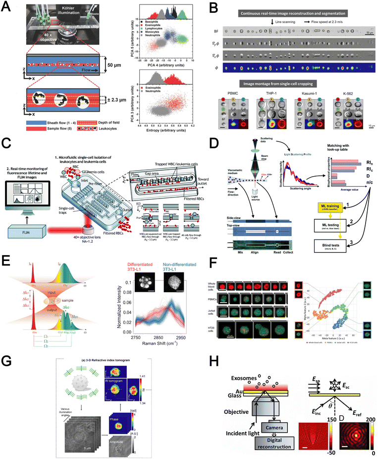 Label-free microfluidic cell sorting and detection for rapid blood ...