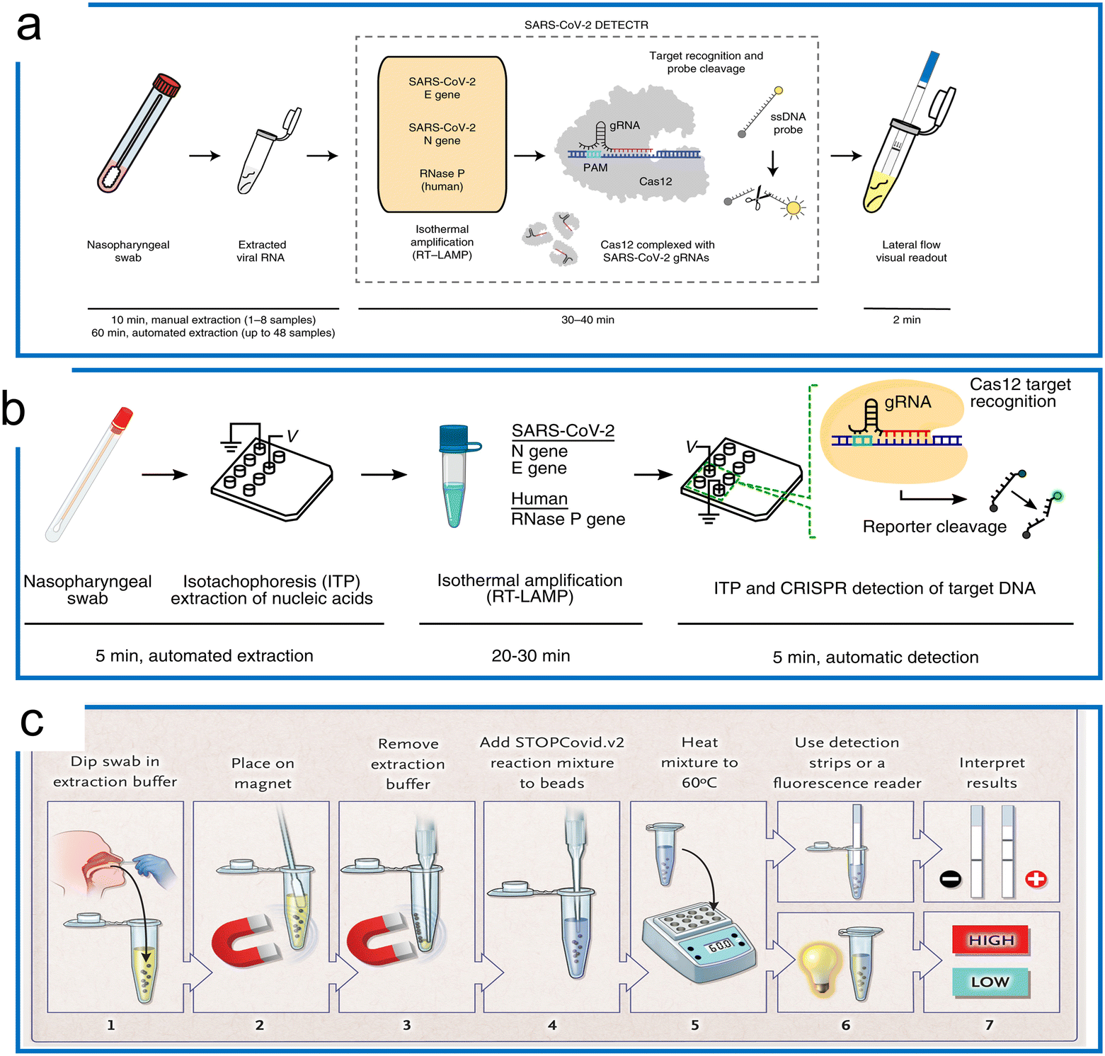 Recent progress in nucleic acid detection with CRISPR - Lab on a Chip ...