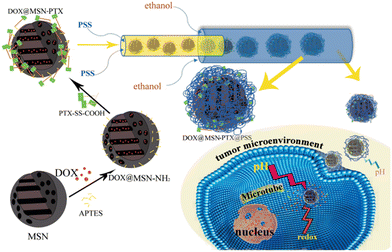 Design of functional nanoparticles by microfluidic platforms as ...