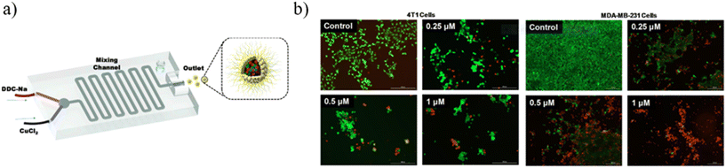 Design of functional nanoparticles by microfluidic platforms as ...