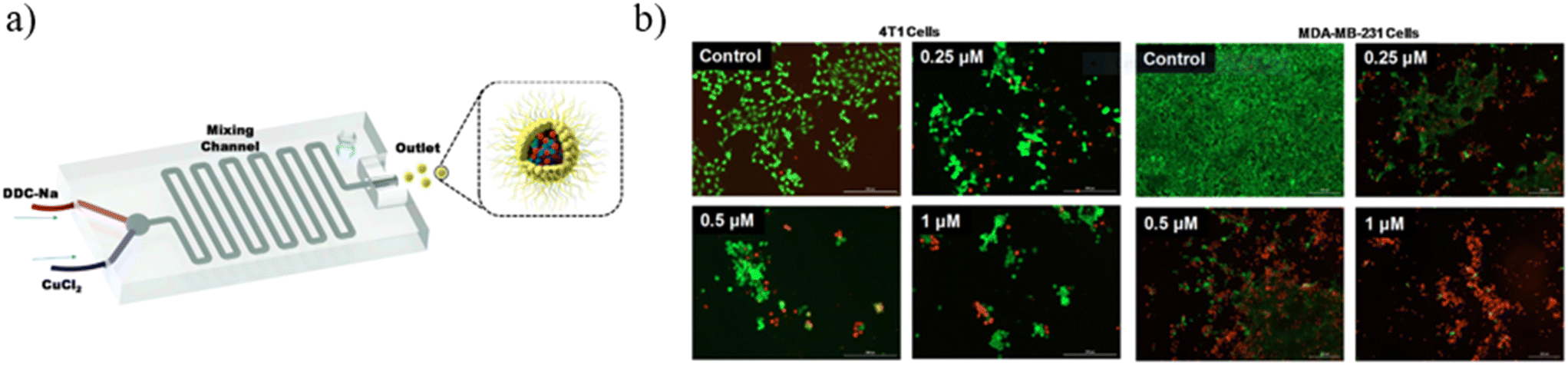Design of functional nanoparticles by microfluidic platforms as ...