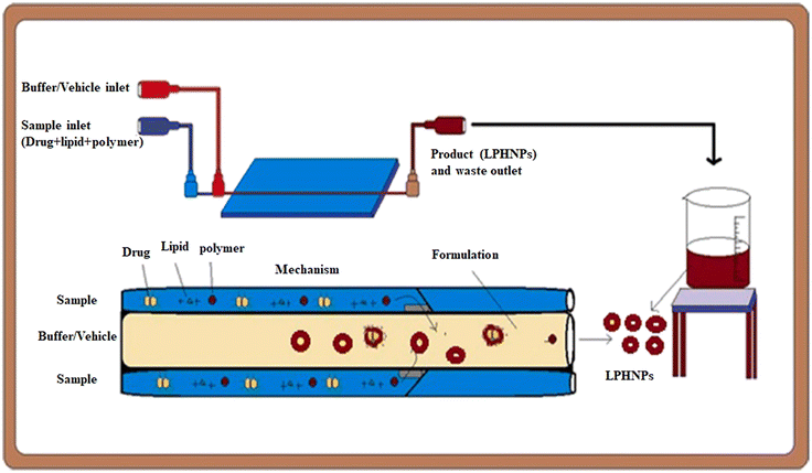 Design of functional nanoparticles by microfluidic platforms as ...