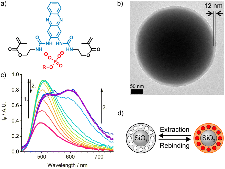 Combining A Hybrid Chip And Tube Microfluidic System With Fluorescent Molecularly Imprinted