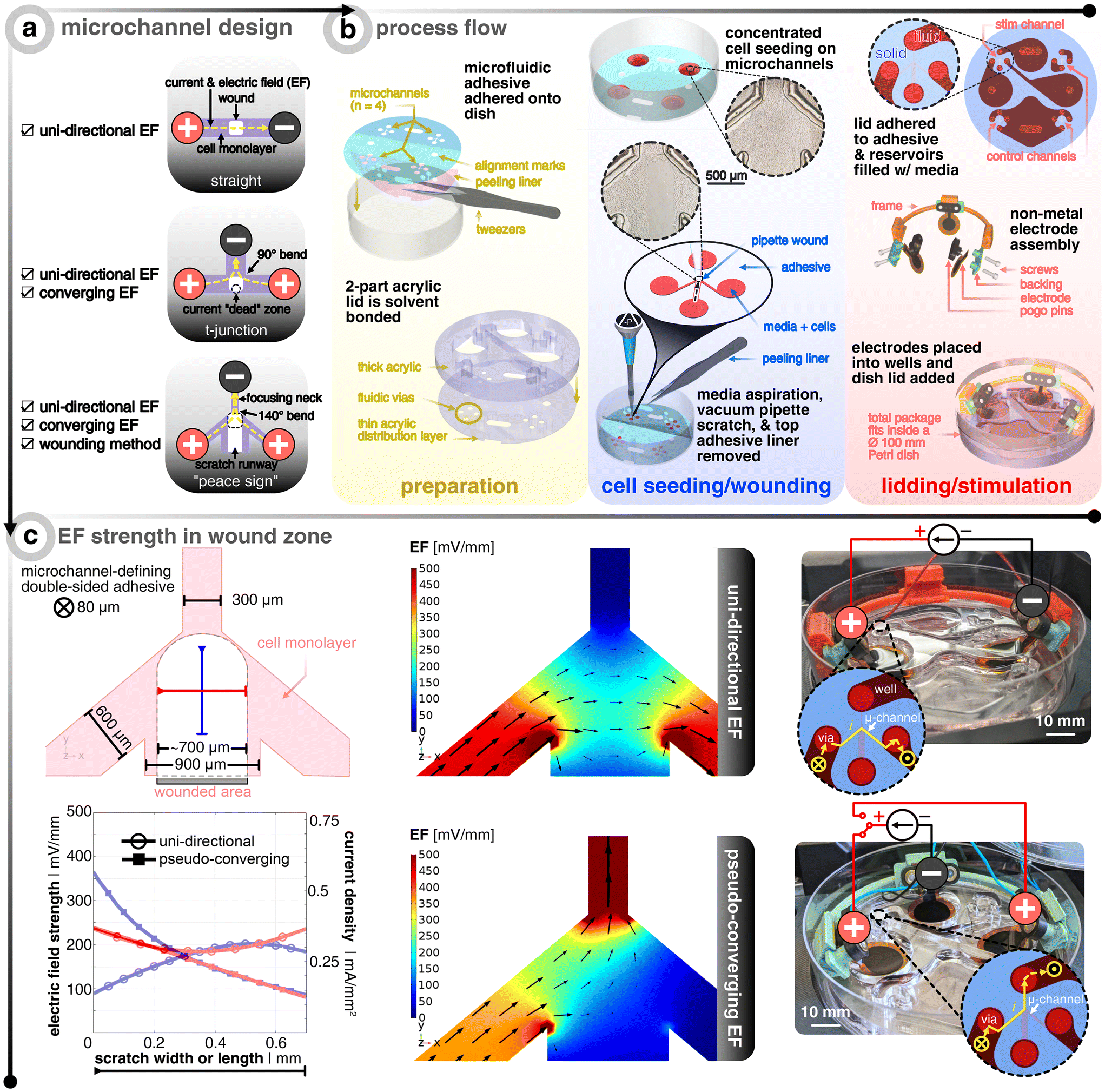 Bioelectronic microfluidic wound healing: a platform for investigating ...