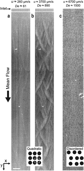 Short and long-range cyclic patterns in flows of DNA solutions in ...