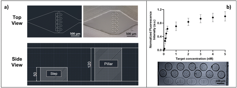 Hydrogel particles-on-chip (HyPoC): a fluorescence micro-sensor array ...