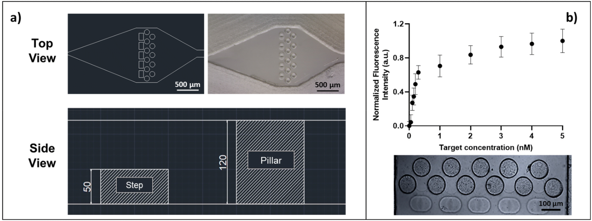 Hydrogel particles-on-chip (HyPoC): a fluorescence micro-sensor array ...