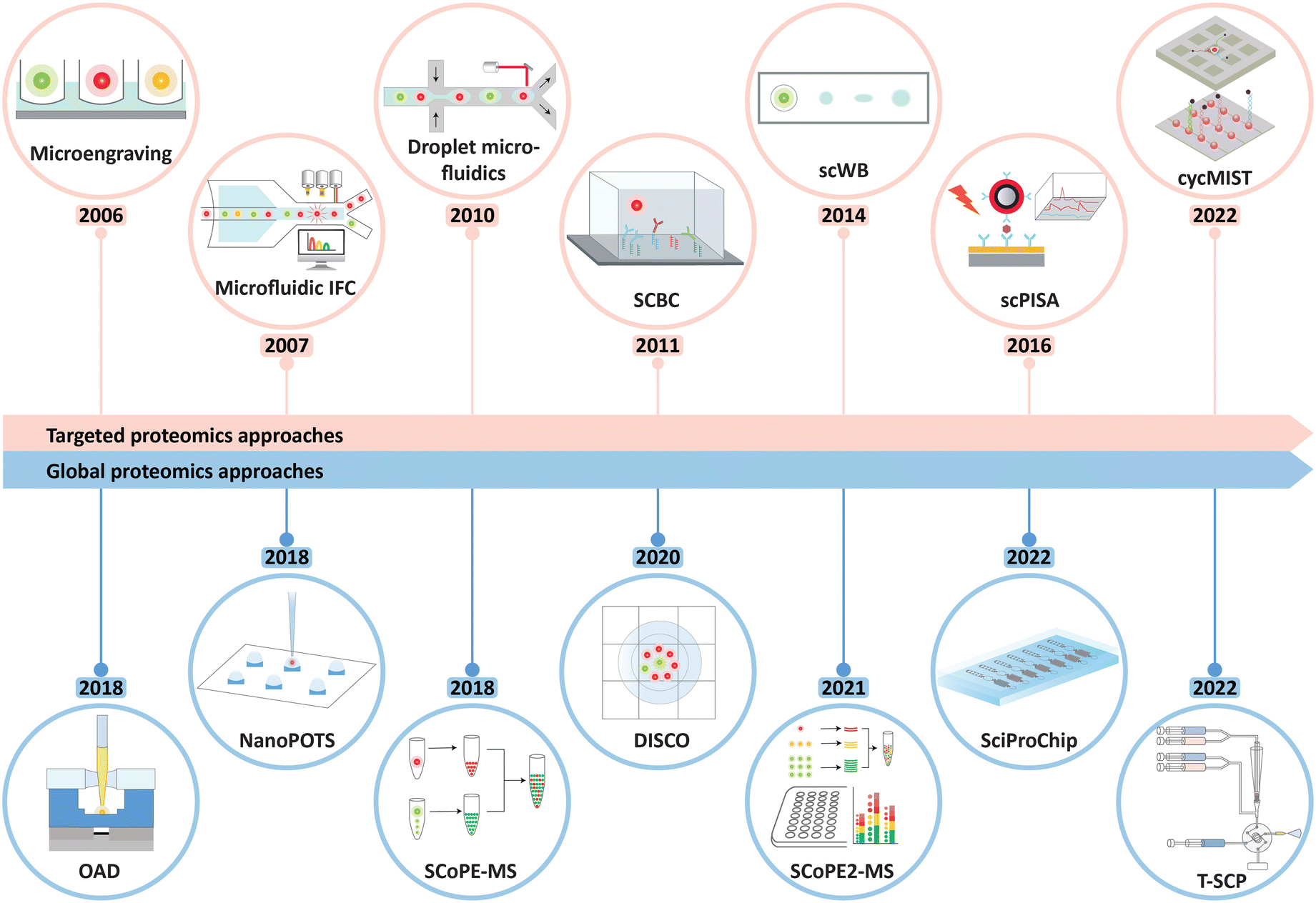 Recent advances in microfluidics for single-cell functional proteomics - Lab on a Chip (RSC ...