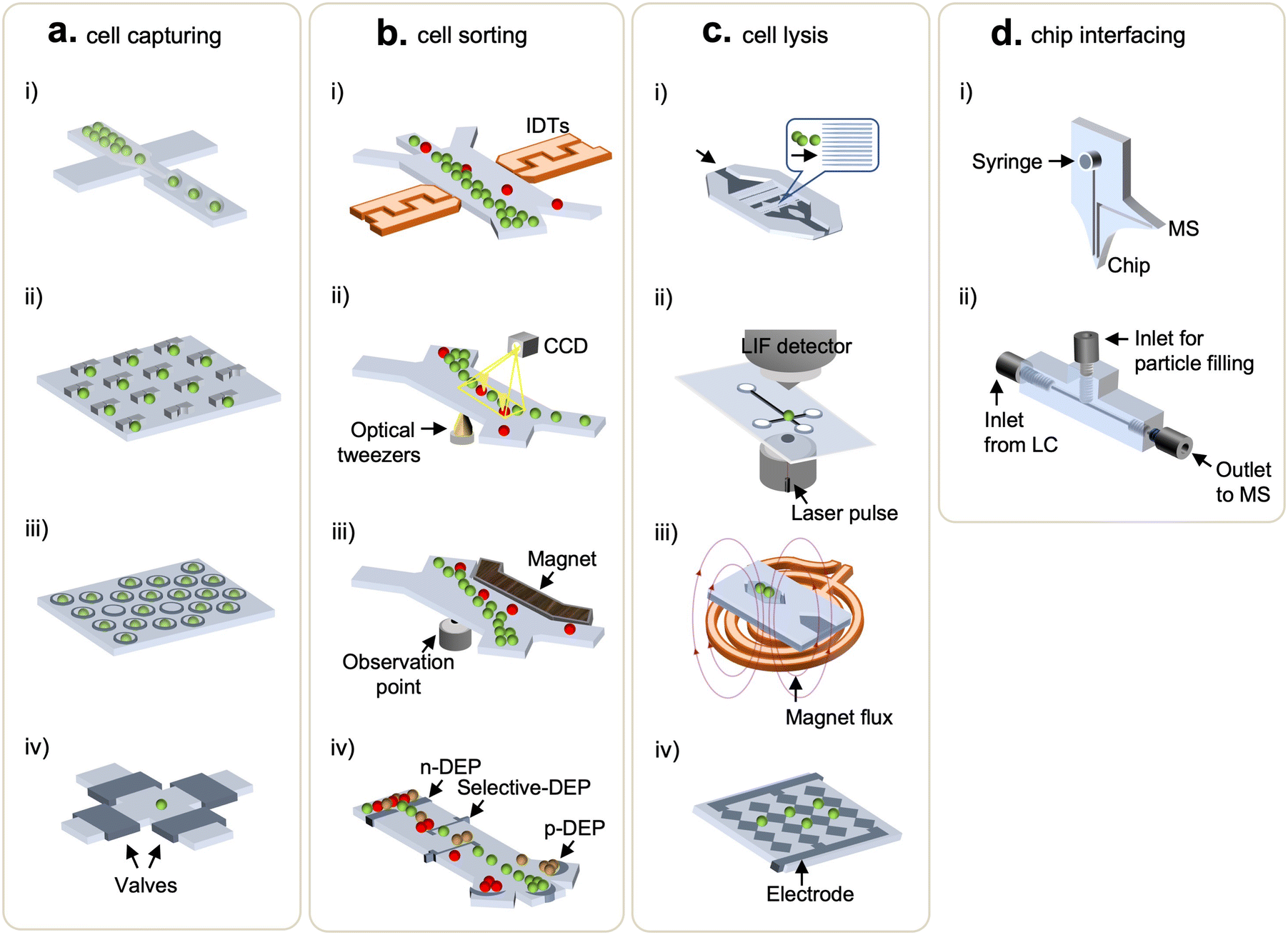 Recent advances in microfluidics for single-cell functional proteomics - Lab on a Chip (RSC ...