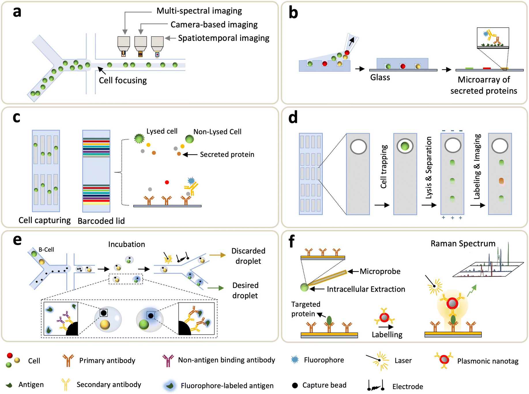 Recent advances in microfluidics for single-cell functional proteomics - Lab on a Chip (RSC ...