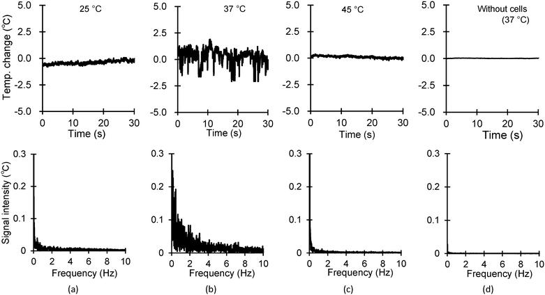 Measurement of cellular thermal properties and their temperature ...