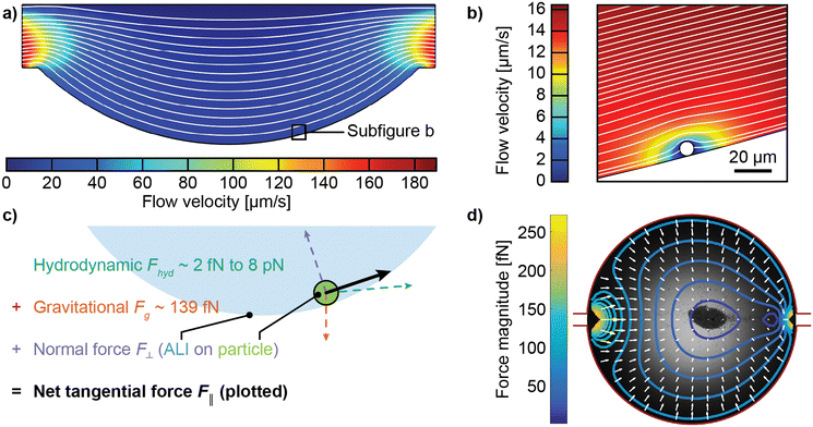 Controlling bead and cell mobility in a recirculating hanging-drop ...