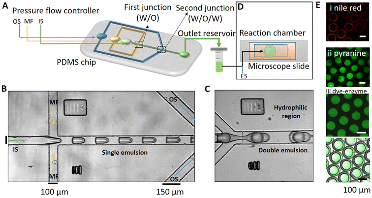 A microfluidic double emulsion platform for spatiotemporal control of pH and particle synthesis ...