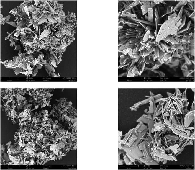 Synthesis of gypsum fertilizer from waste eggshells for a sustainable ...