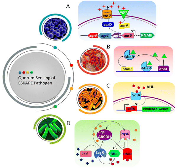 Nanotechnology based therapeutic approaches: an advanced strategy to ...