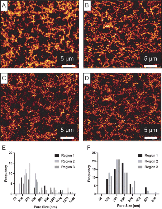Evaluation of techniques used for visualisation of hydrogel morphology ...