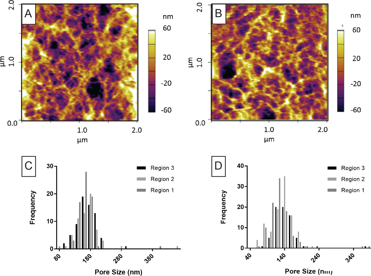 Evaluation of techniques used for visualisation of hydrogel morphology and determination of pore ...