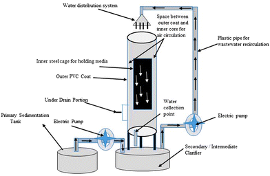 Biofilm-mediated wastewater treatment: a comprehensive review ...