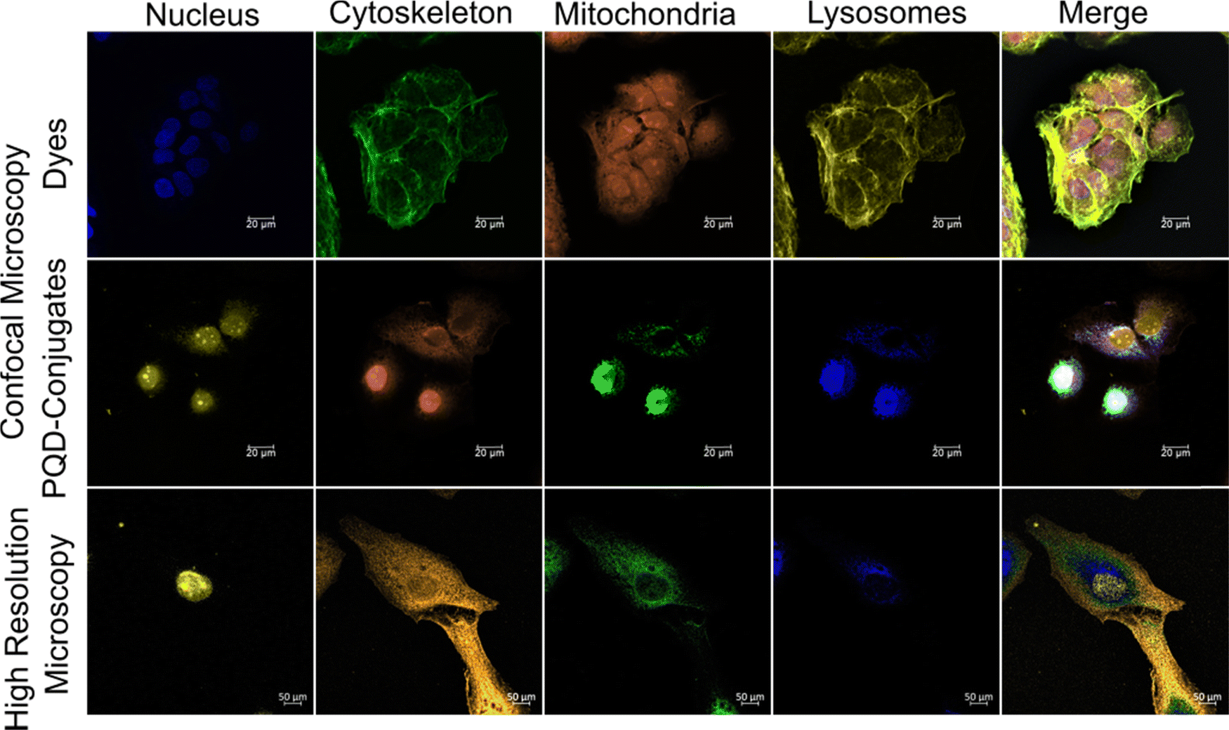Exploiting the UV excited size-dependent emission of PDMS-coated CdTe ...