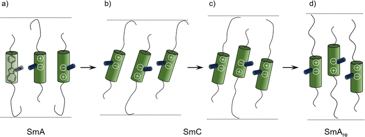 First azulene liquid crystal with de Vries behavior and a SmA re ...