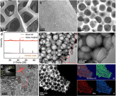 Macroporous NiMo alloy self-supporting electrodes for efficient ...