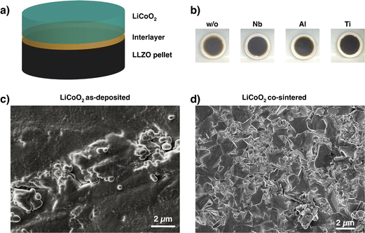 Benchmarking the performance of lithiated metal oxide interlayers at ...