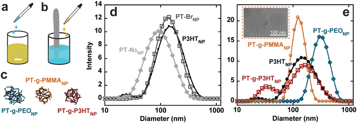 Enhancing photoluminescence of conjugated nanoparticles through graft ...