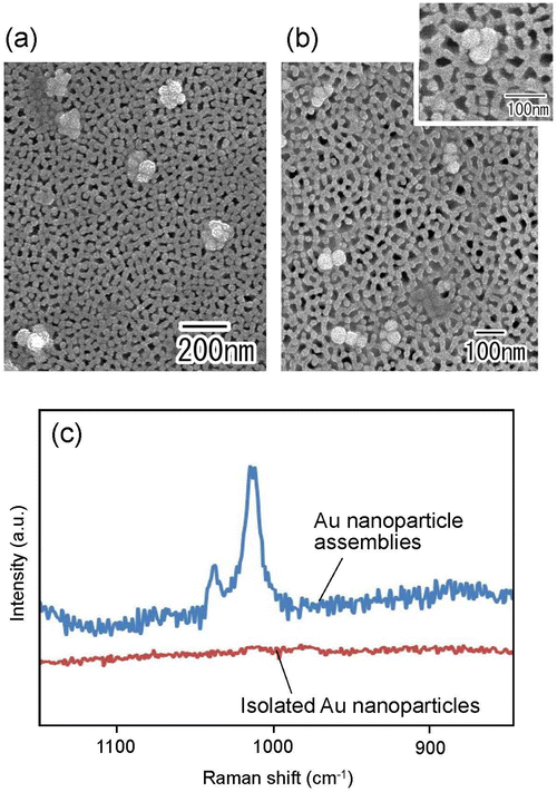 Fabrication of nanoparticle assemblies with a controlled number of ...