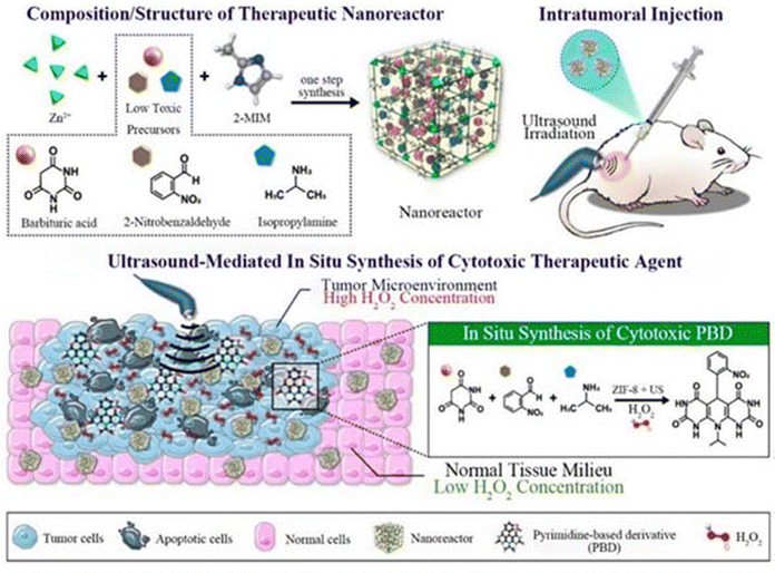 Recent advances in Zn-MOFs and their derivatives for cancer therapeutic ...