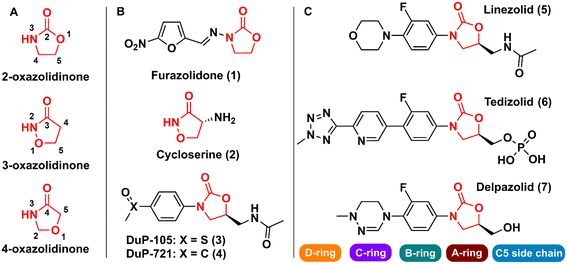 Oxazolidinones as versatile scaffolds in medicinal chemistry - RSC ...