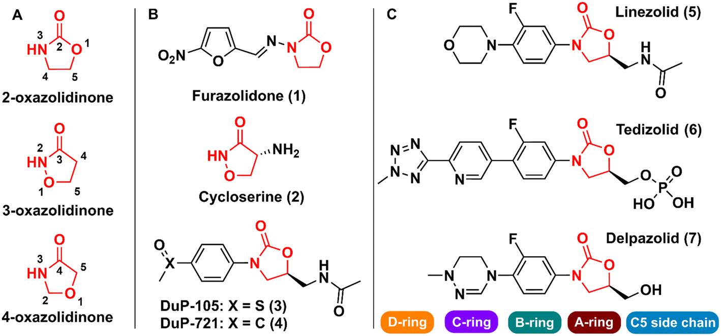 Oxazolidinones as versatile scaffolds in medicinal chemistry - RSC ...