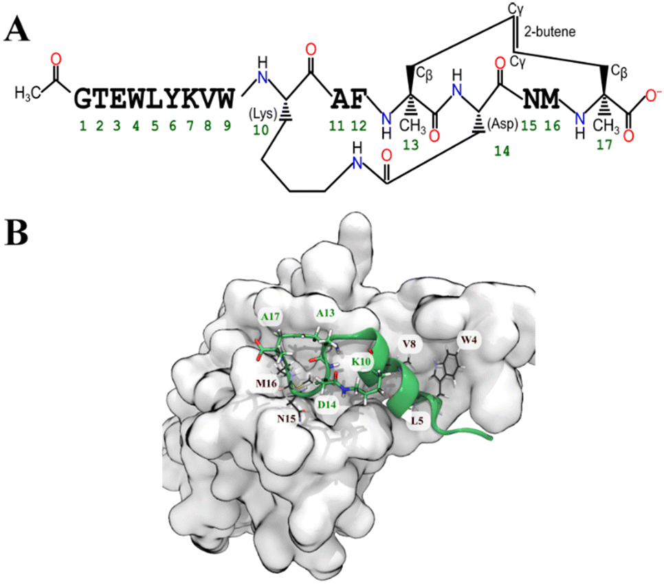 De novo design of a stapled peptide targeting SARS-CoV-2 spike protein ...