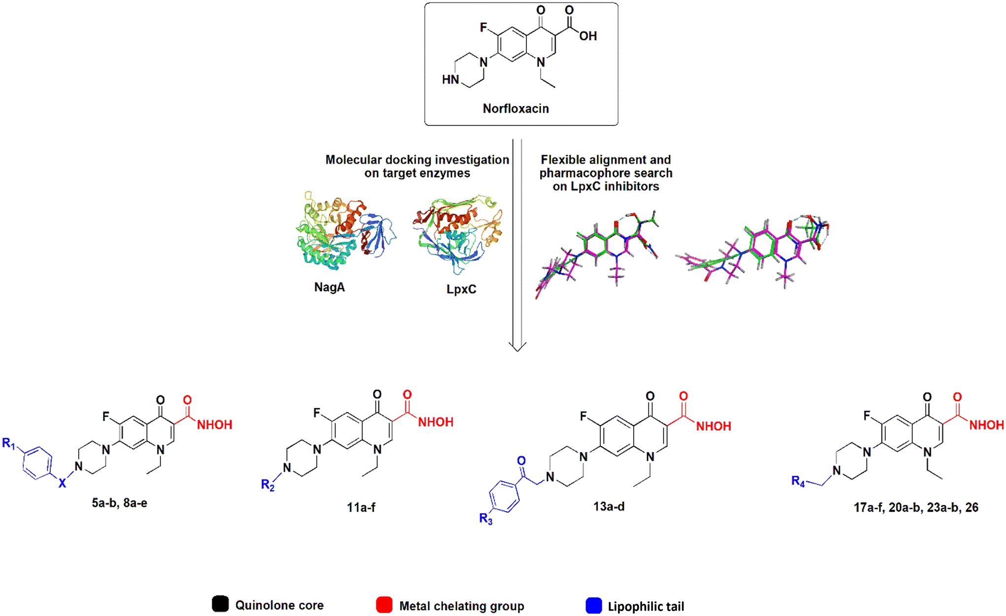 Rational design, synthesis, molecular modeling, biological activity ...