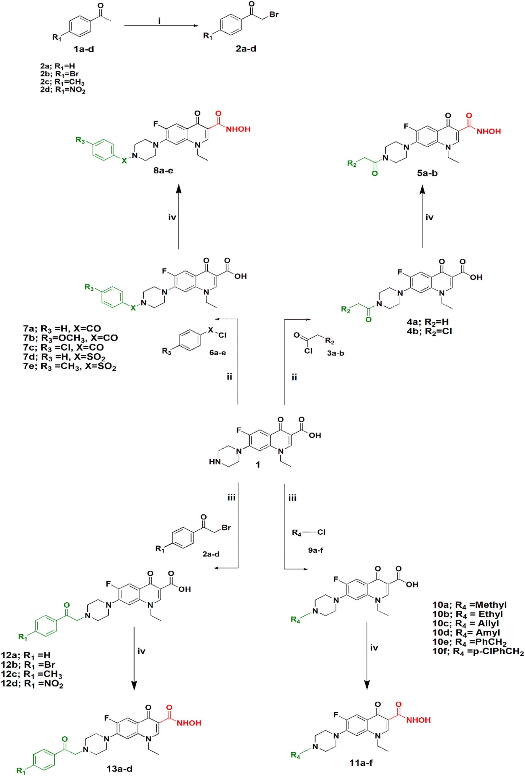 Rational design, synthesis, molecular modeling, biological activity ...