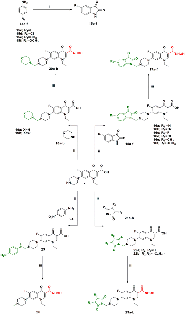Rational design, synthesis, molecular modeling, biological activity ...