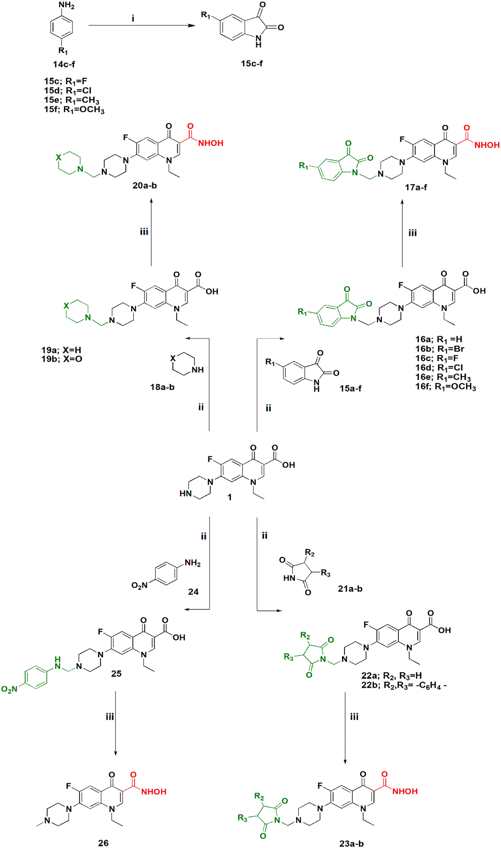 Rational design, synthesis, molecular modeling, biological activity ...