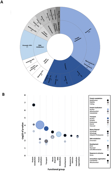 Protein network analysis links the NSL complex to Parkinson’s disease ...