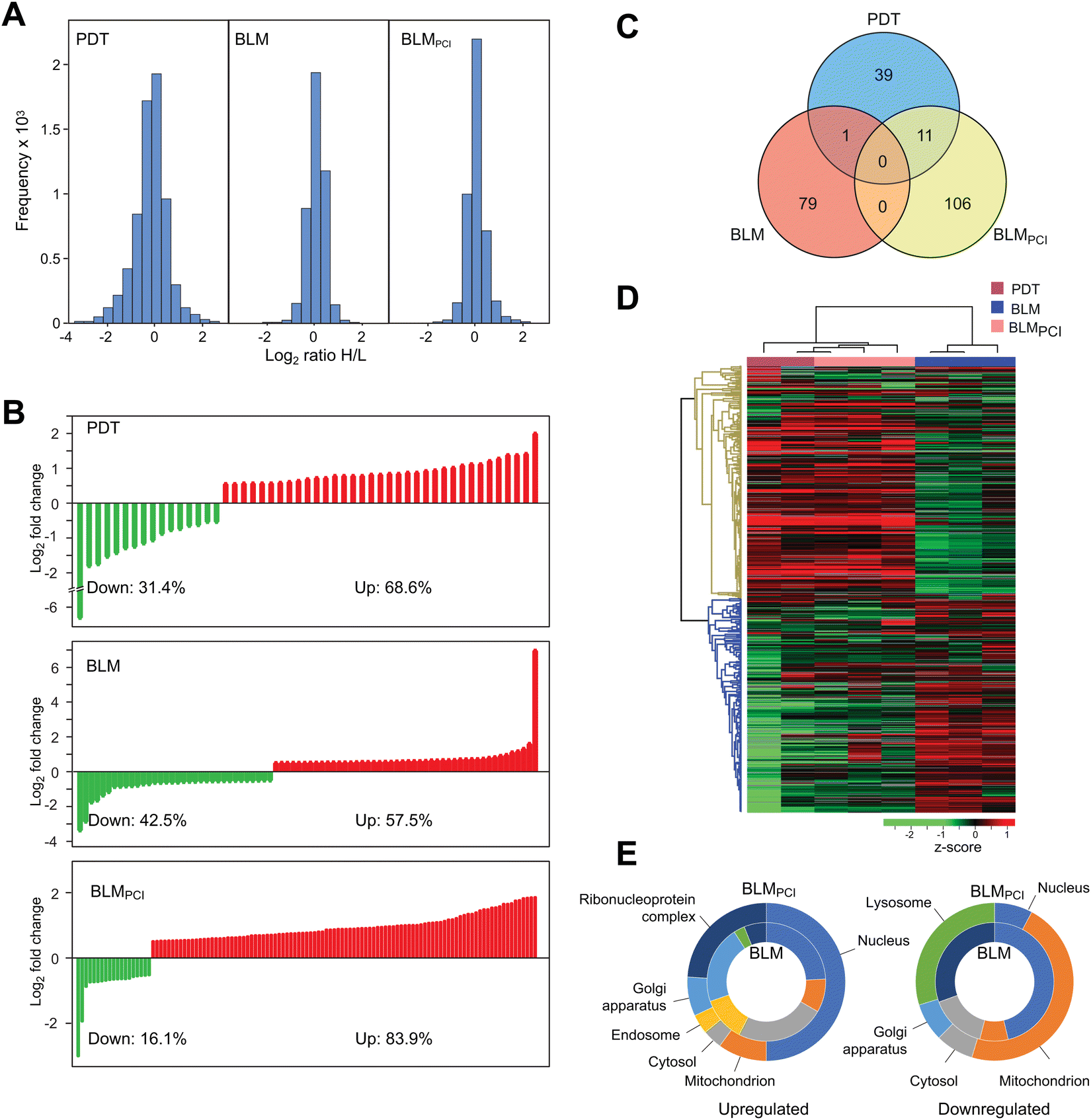 Proteomic analysis reveals mechanisms underlying increased efficacy of ...