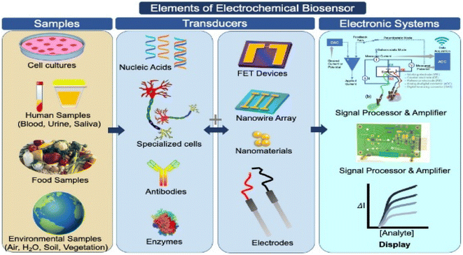 Recent trends in carbon nanotube (CNT)-based biosensors for the fast ...